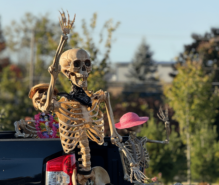 Viwinco Halloween 2024 - Viwinco Windows